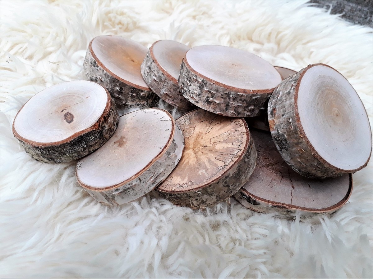 White Birch Wood Slices Birch Log Wood Slices 4 1/2" To 6" X 1/2" To