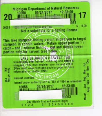 2017 MICHIGAN RESIDENT LAKE STURGEON HARVEST LICENSE TAG #2-MICHIGAN ...