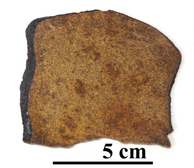 NEWEST!!! RARE!! NWA 15289 Eucrite, Very Fresh! excellent part slice 41 ...