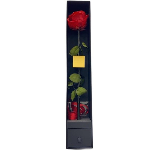 ROSE GALLERY The One Special Edition t22_0206 | eBay