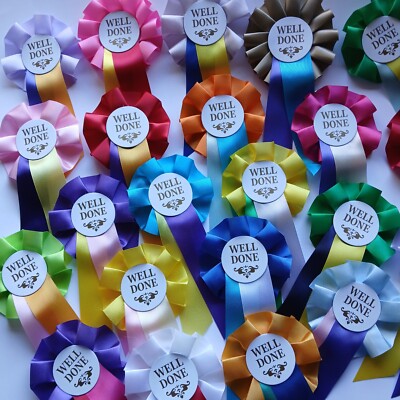 10 Well Done Rosettes, Assorted Colours Mini Well Done Pony Party ...