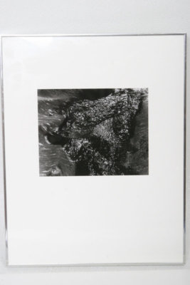 Signed Fred Picker Original Photo Print - Water Scene - Vermont 1993 ...