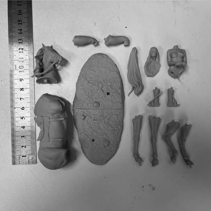 Sexy Elf Princess with Horse 1/24 RESIN FIGURE Model Kit Unassembled ...