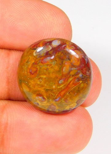 23.CT 100% Naturel Rouge Palmier Racine Agate Rond Cabochon Fossilisé ...