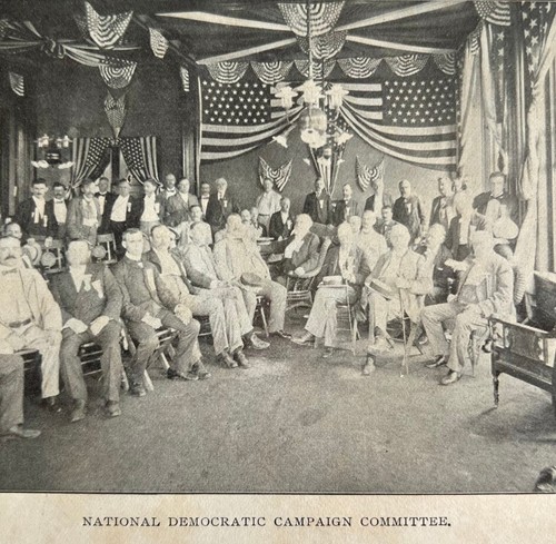 Democrat Campaign Committee 1900 Print New Declaration History Struggle ...