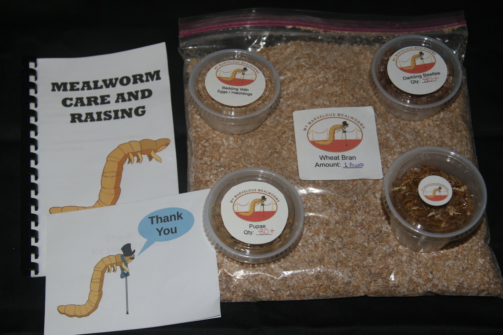 Mealworm Farm Starter Kit - FREE Priority Mail shipping | eBay