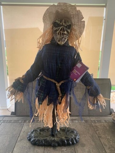 Home Depot Holiday Accents 3 ft Halloween Animated LED Scary Creepy ...