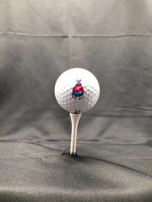 Titleist Sherwin Williams White Golf Ball Souvenir DT 90 Cover the ...