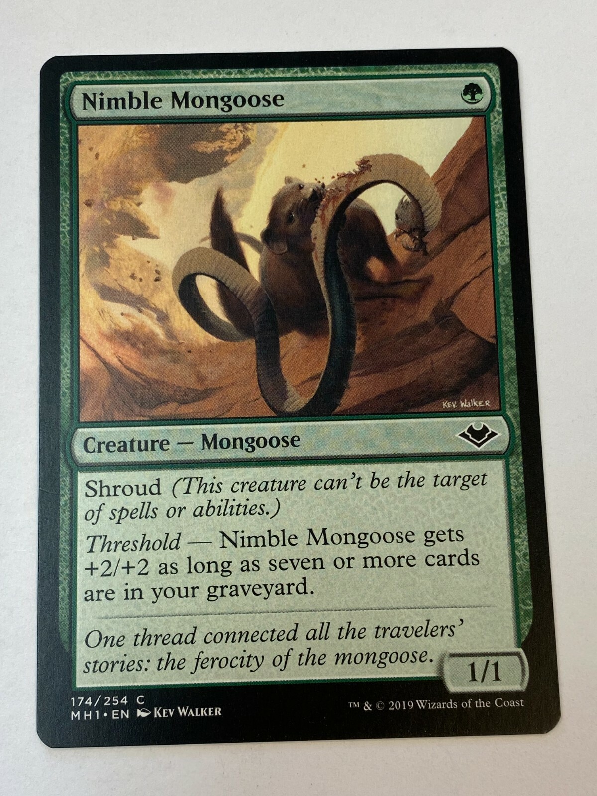 Nimble Mongoose - Magic the Gathering MTG Modern Horizons Single Card ...