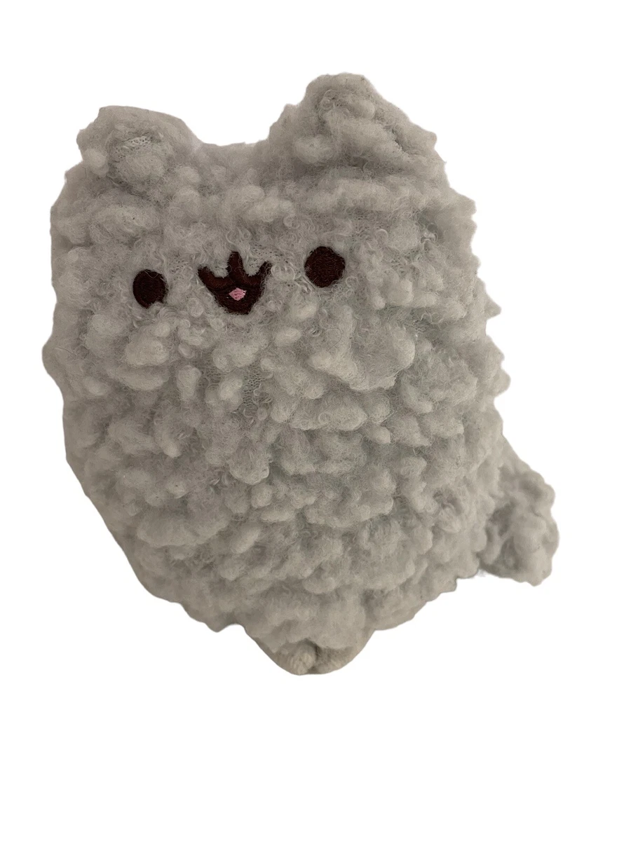 Stormy Pusheen Real Cat