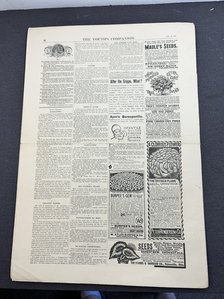 The Youths Companion - Jan 30, 1890 - Against Heavy Odds Chap 5 | eBay