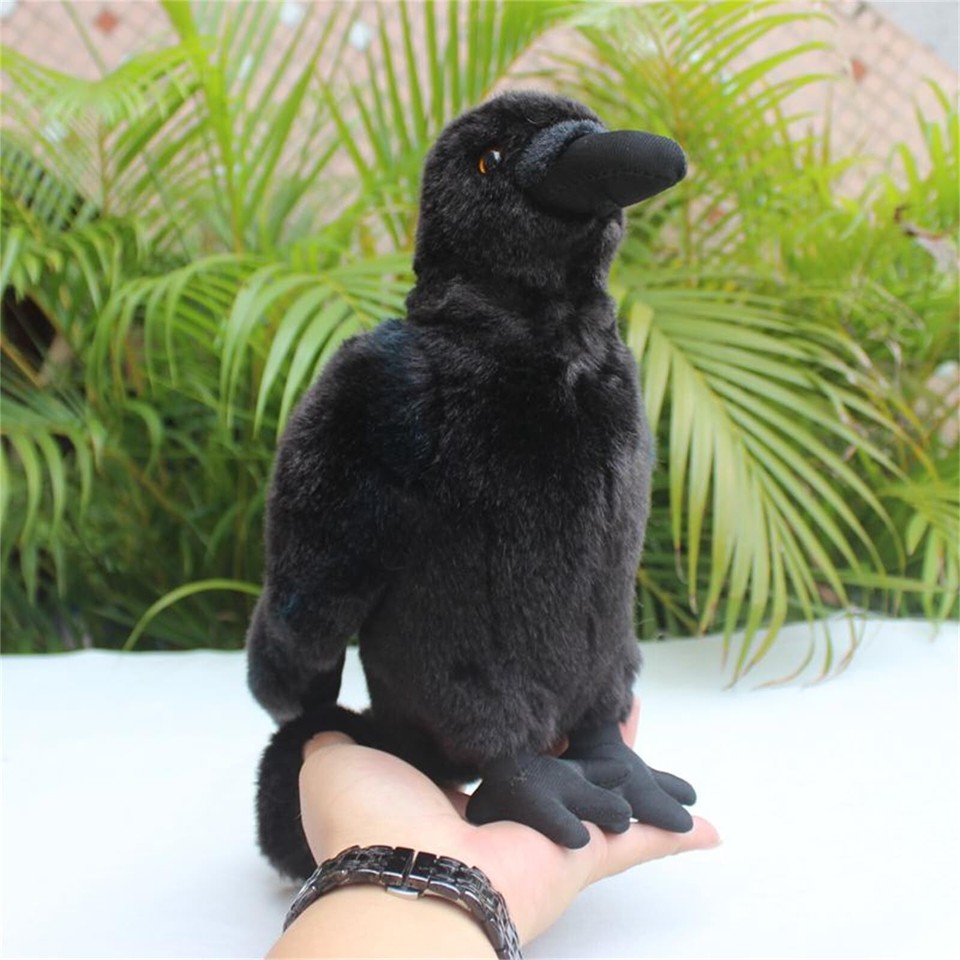 9.4'' Realistic Crow Plush Toy Cute Black Raven Plushie Soft Stuffed ...