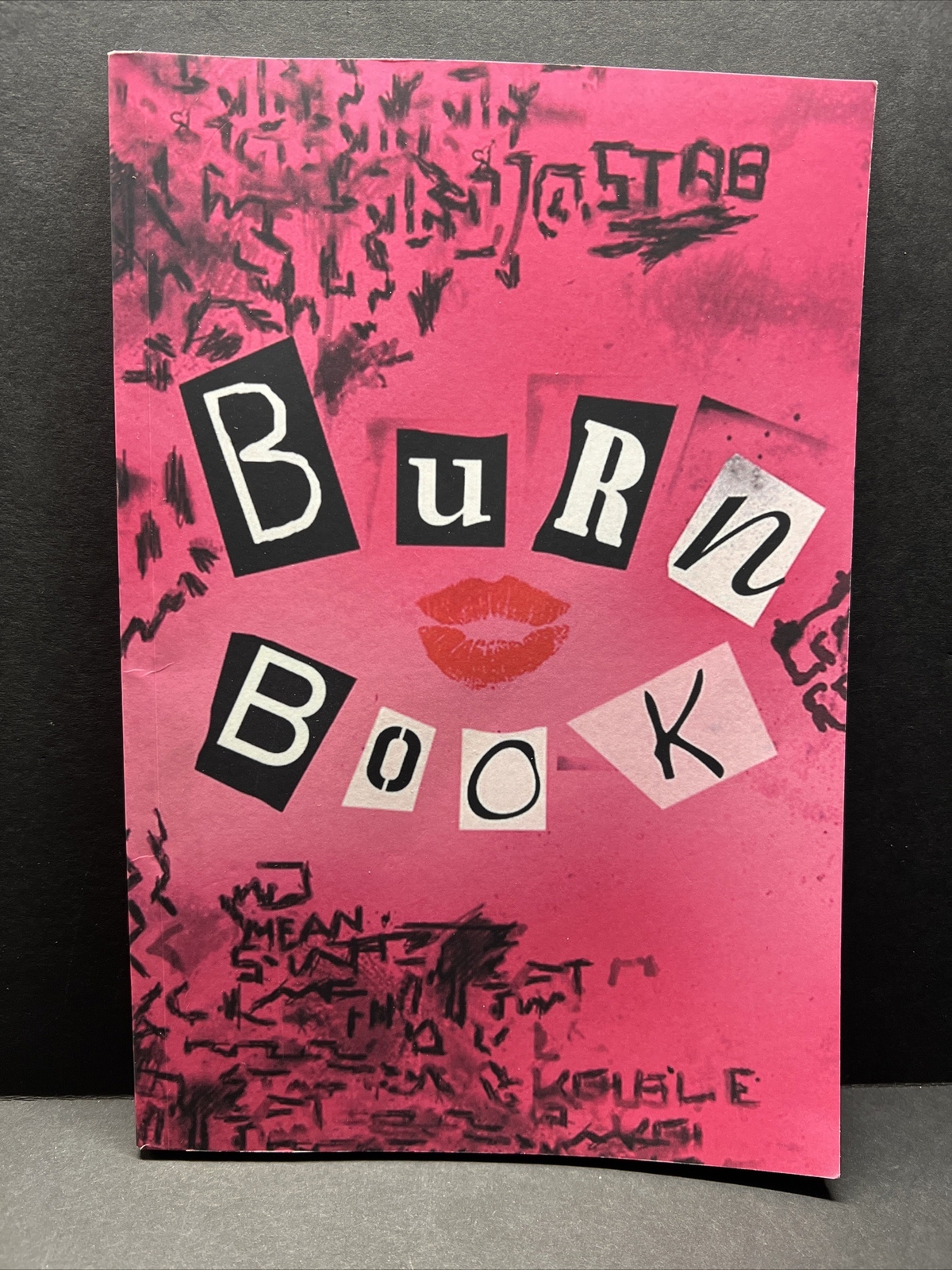 Burn Book: Burn Book Mean Girls journal, Its full of secrets ...