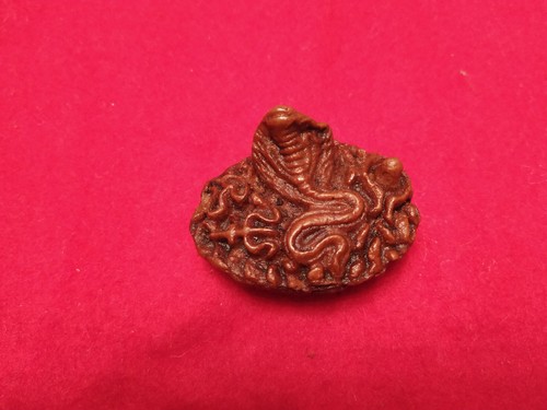 Famous temple Naga Dev Most Powerful Pindi - Wealth Psyhic Power Health ...