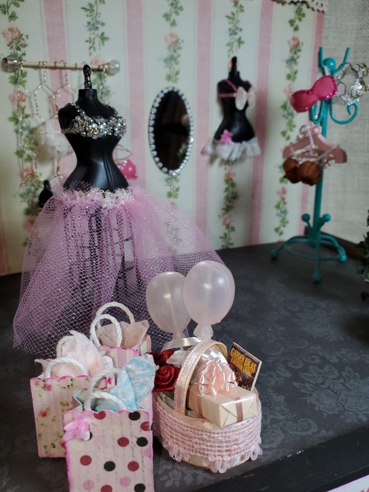 Miniature Dollhouse Room Box 1 in scale Artisan Bra Closet | eBay