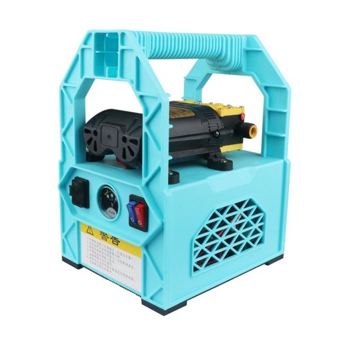 Dual Pump 12V Agricultural Electric Sprayer Portable Sprayer Car Washer ...