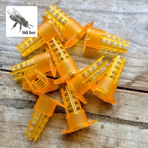 Plastic Bee Queen Cell Protector Cage (10) | eBay UK