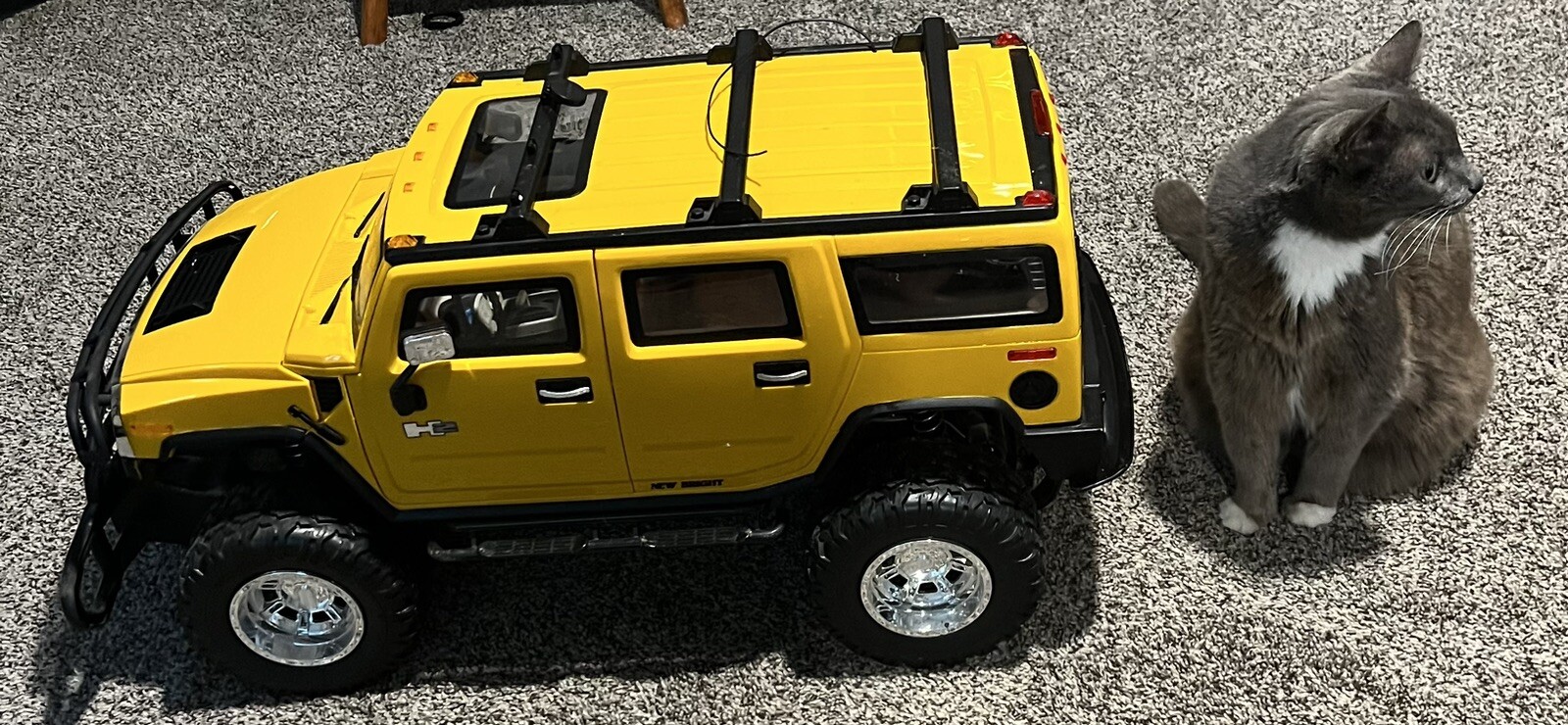 Big Remote Control Hummers