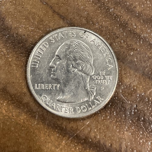 2004 Wisconsin PossibleHigh Leaf Error Quarter | eBay