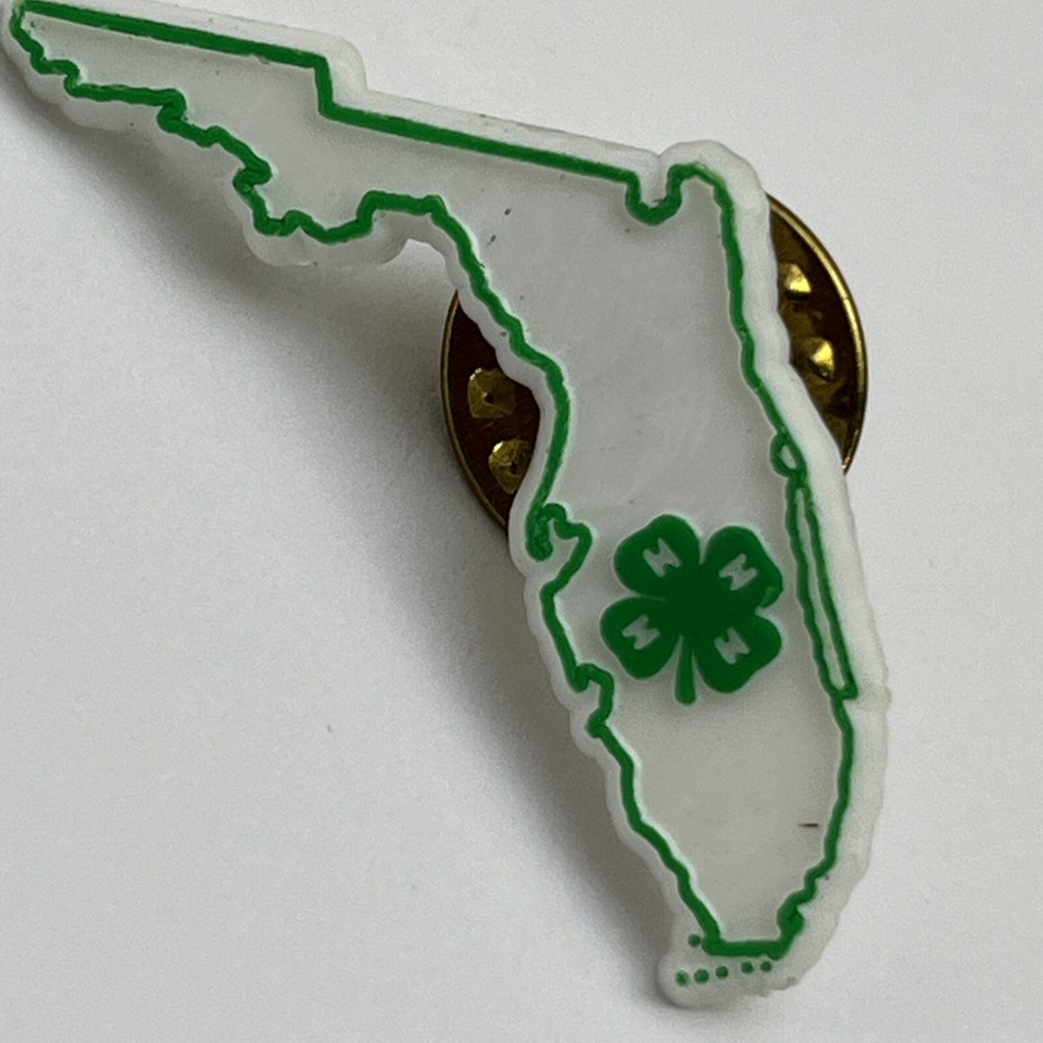Florida 4H Club Organization Plastic State Lapel Hat Pin Pinback | eBay