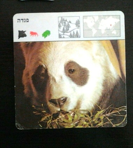 ZOOLOGY SAFARI Panda 1979 VINTAGE ISRAEL ISRAELI CARD | eBay