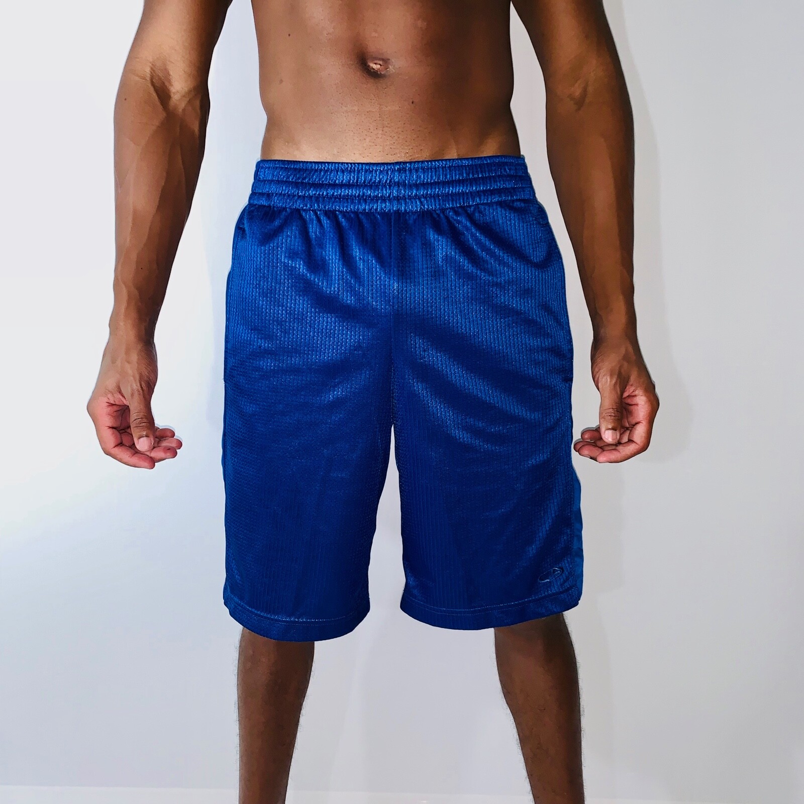 Champion C9 Basketball Dazzle Shorts Shiny Soft Blue White Small | eBay