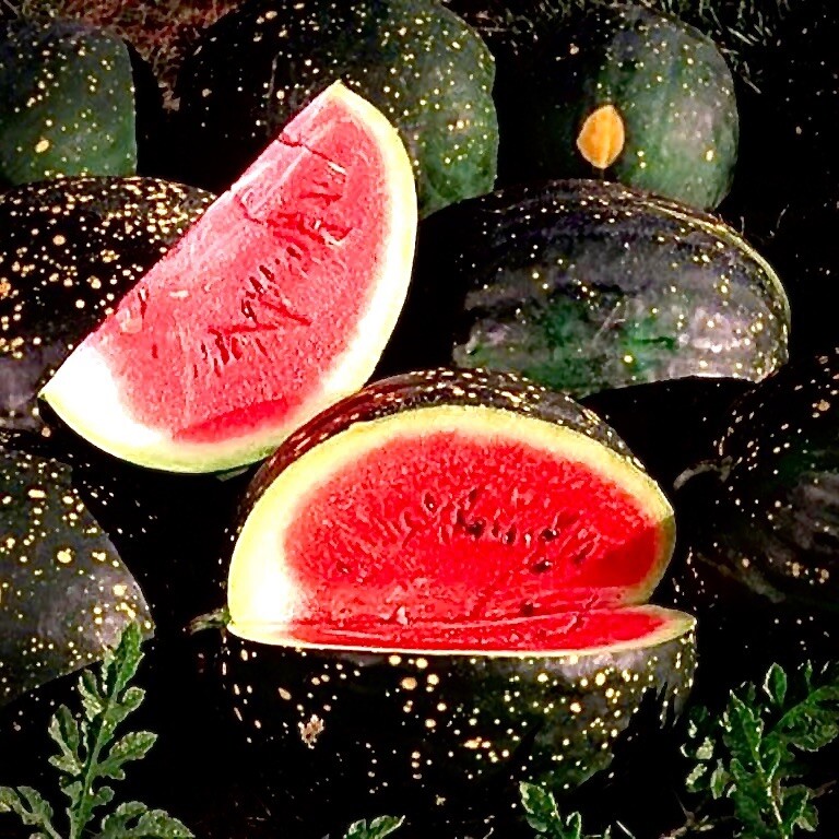 20 Moon and Stars Red Cherokee watermelon Seeds/NON-GMO FREE SHIPPING ...
