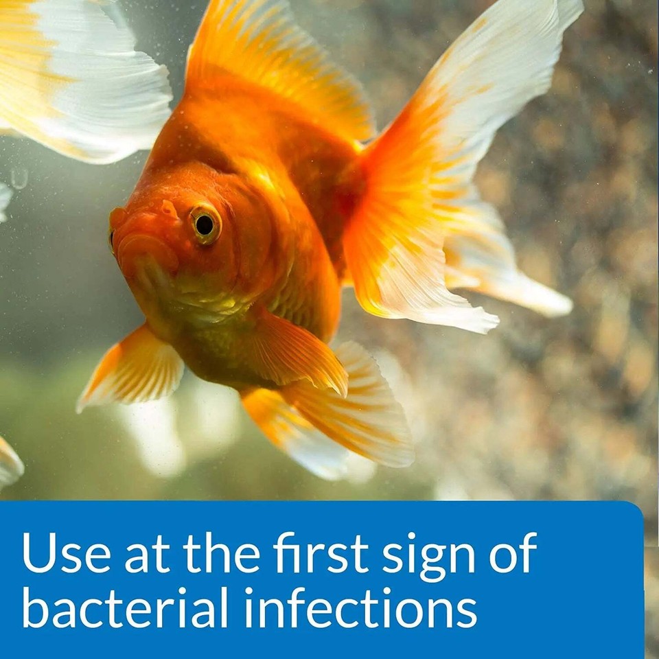 API Fin & Body Cure Freshwater Fish Powder Medication 10-Count | eBay