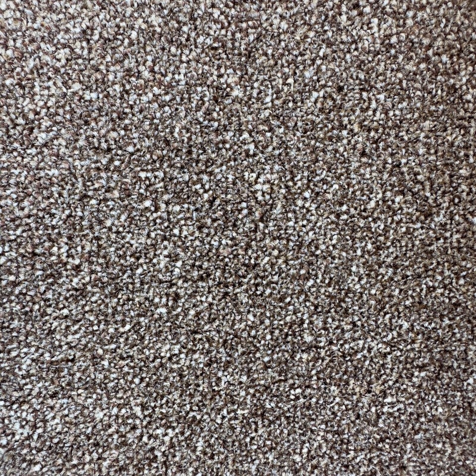QUALITY CARPET - STAIN RESISTANT - £8.99 PER SQ MTR - 4M & 5M WIDE - 10 ...