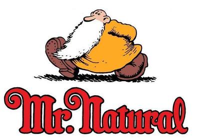 Mr. Natural # 10 - 8 x 10 - T Shirt Iron On Transfer | eBay