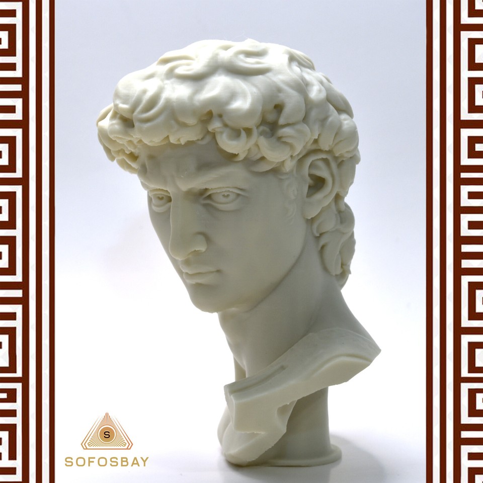 Head of David - Italian Renaissance Sculpture - David by Michelangelo ...
