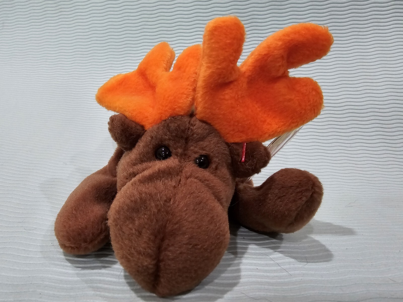 TY Beanie Baby Chocolate the Moose 1993 5th Generation 8421040155 | eBay