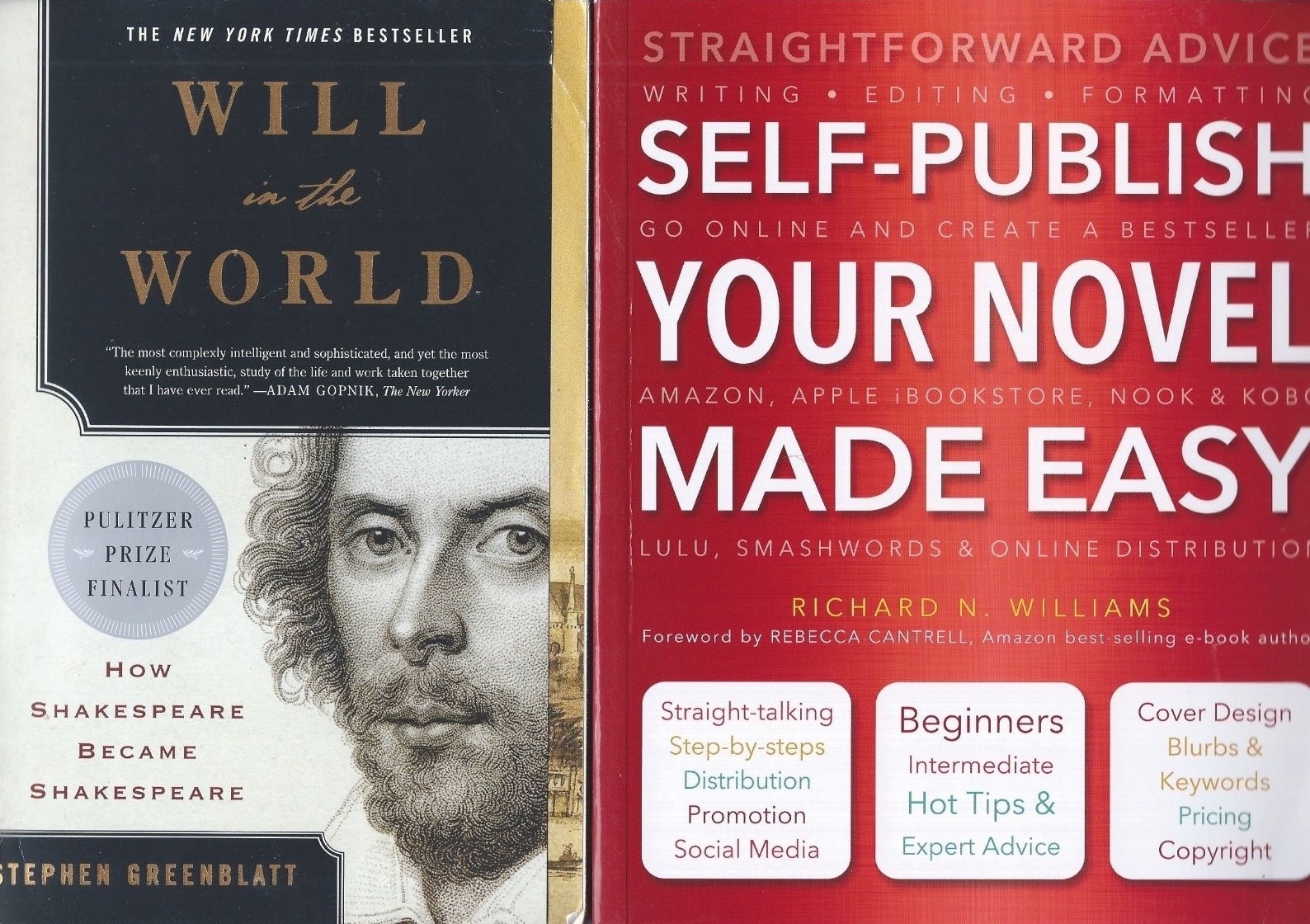 2 Books on Writing: Self Publish Your Novel Made Easy & Will in the ...