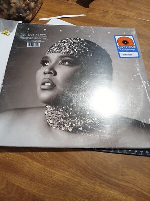 Lizzo Orange Vinyl In Case nobody Told You You're Special | eBay