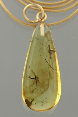 BITING MIDGE Genuine BALTIC AMBER Gold Plated Silver CHAIN Pendant 3.7g ...