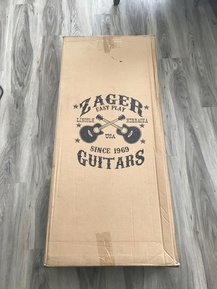 Zager Easy Play Custom Acoustic Guitar, Model ZAD01PKN New with ...