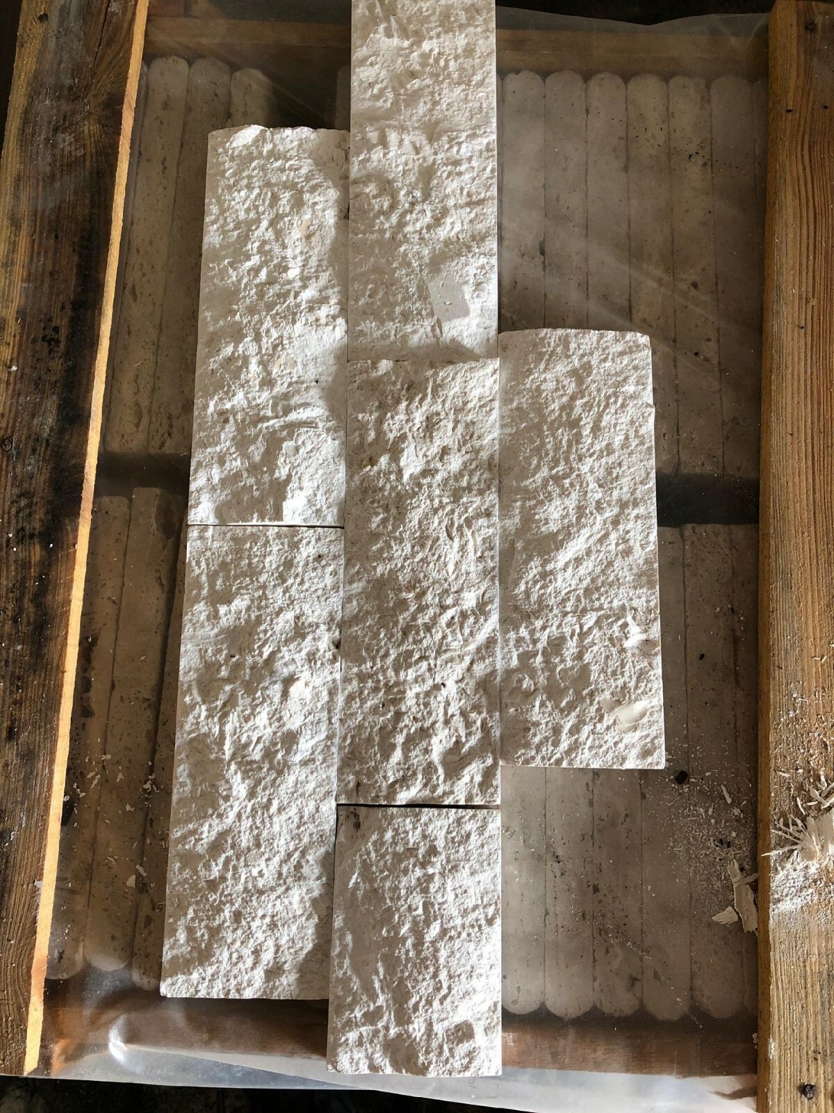 SPLIT FACE SEASHELL 4 X RANDOM LENGTHS WALL IVORY WHITE | eBay