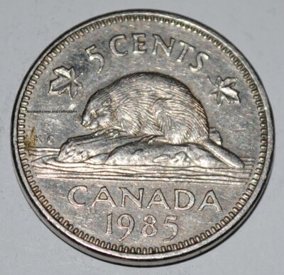 Canada 1985 5 Cents Elizabeth II Canadian Nickel Five Cent | eBay