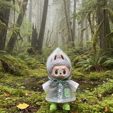 jcllee | eBay Australia Stores