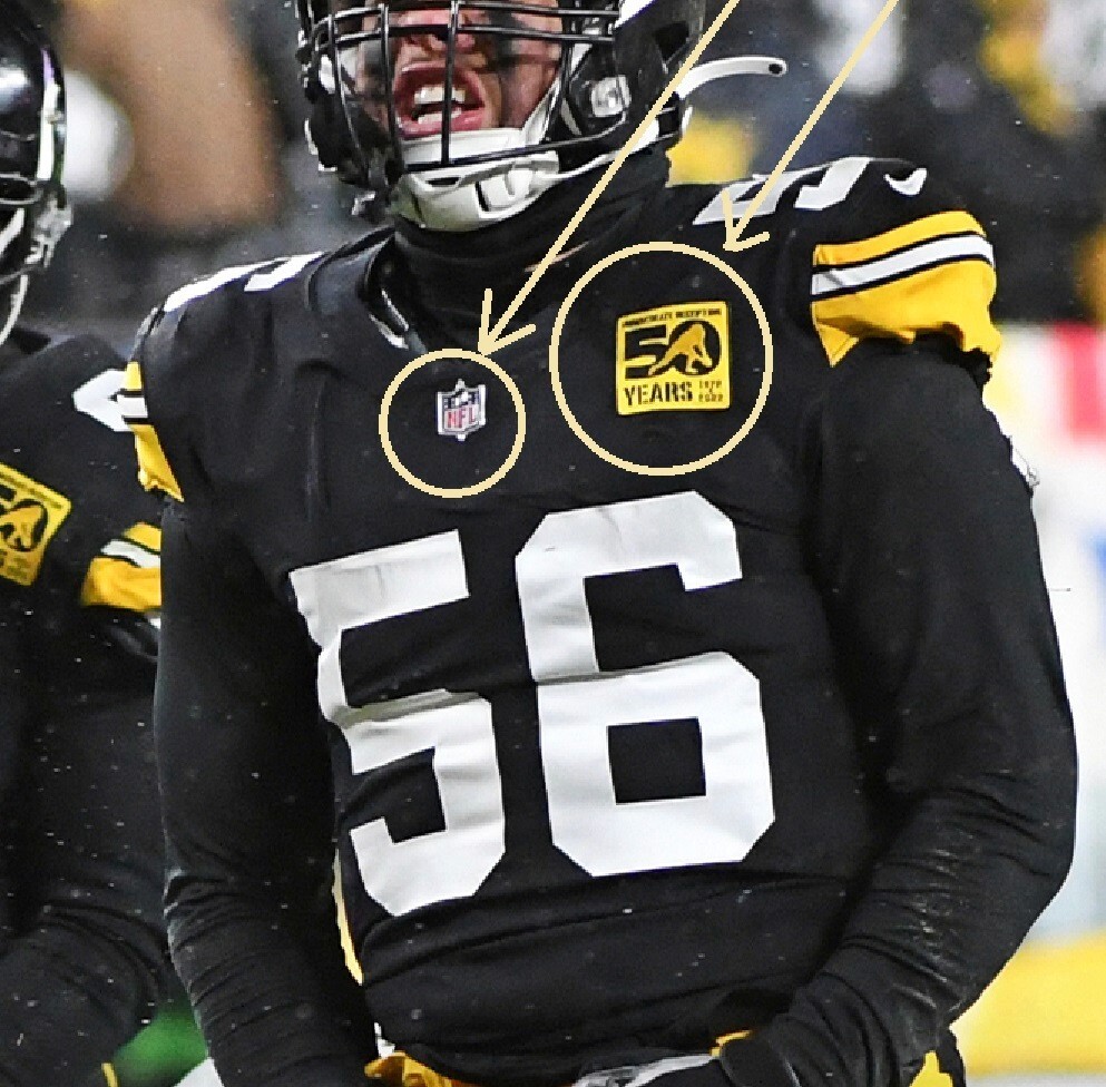 Immaculate Reception Catch Steelers To Celebrate Golden Anniversary Of