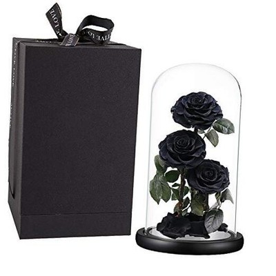 Preserved Roses Handmade Preserved Real Rose in Glass Dome Roses Never ...