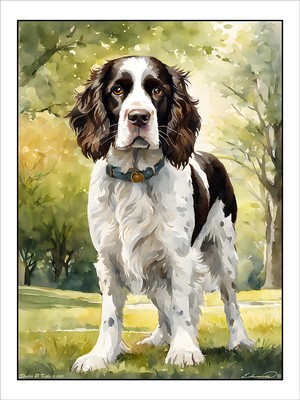 English Springer Spaniel Print, Poster, Dog Wall Art, Animal Decor | eBay