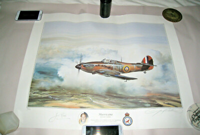 Print Hurricane Geoff Nutkins Signed Artist And Pilot Jack Riddle 601 ...