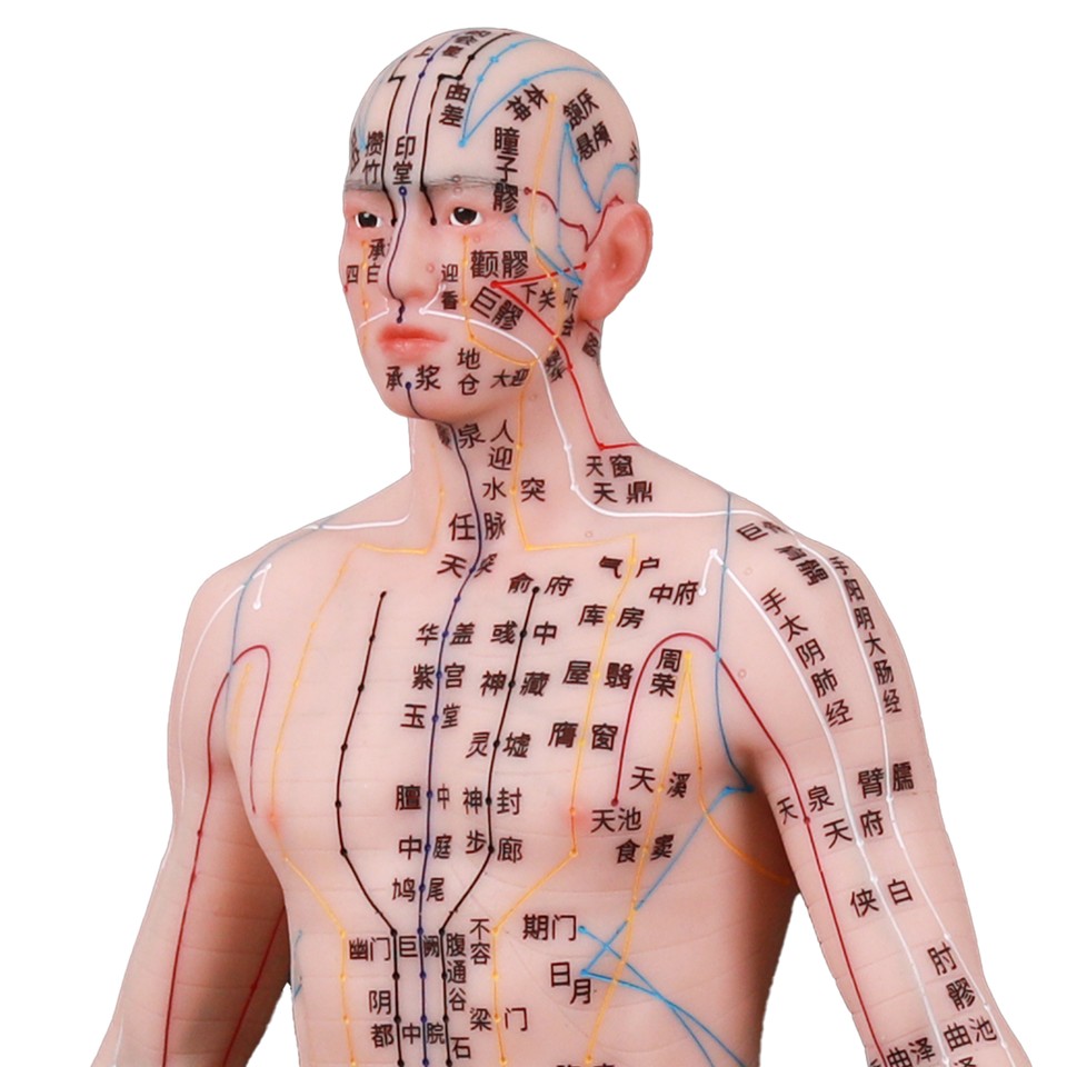 Acupuncture Model 21.65" Human Acupoint Silicone Doll Chinese Medicine ...
