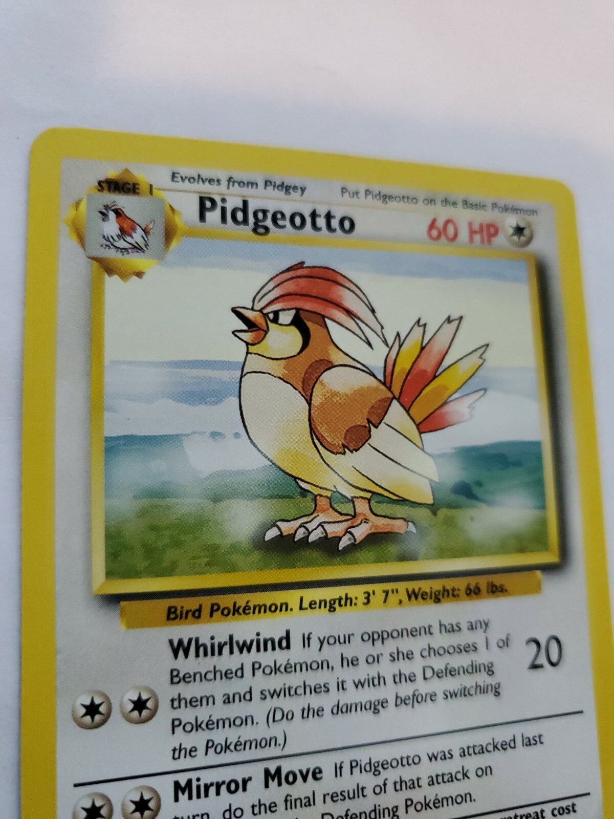 Pidgeotto Base Set Pokemon Card WOTC NM | eBay