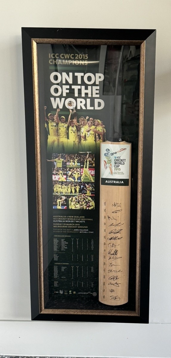 Cwc 2015 Logo Part 3// CWC 2015 Final || Australia Vs New Zealand