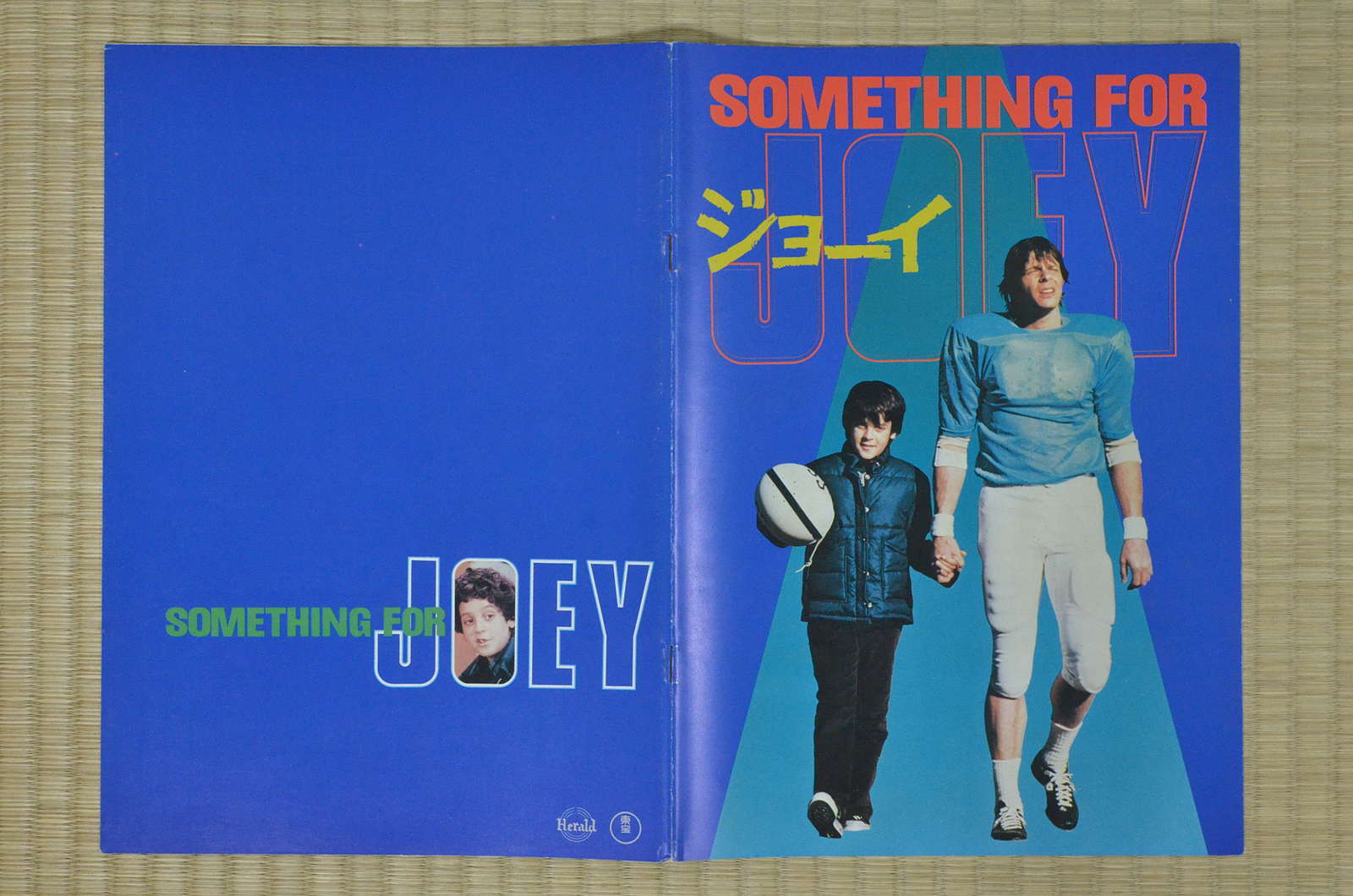 Something for Joey Japan Movie Program 1977 Geraldine Page Lou Antonio ...