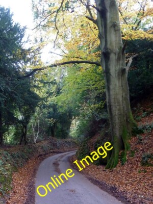 Photo 6x4 Mill Lane Empshott The mill concerned was Hawkley Mill, a ...