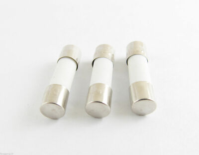 10pcs Ceramic Fuse 5mm x 20mm 10A 10Amps F10A 250V Quick Fast Blow | eBay