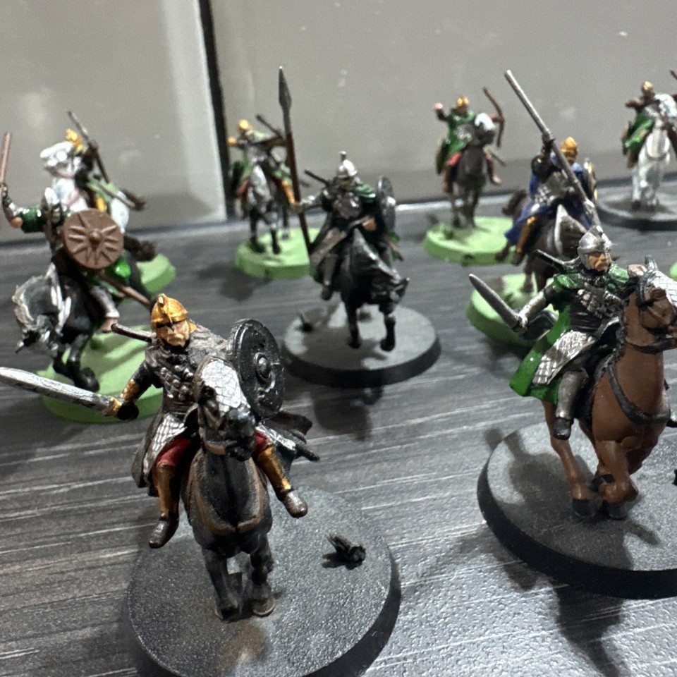 LOTR 12 x Painted Riders Of Rohan Lord Of The Rings Warhammer | eBay